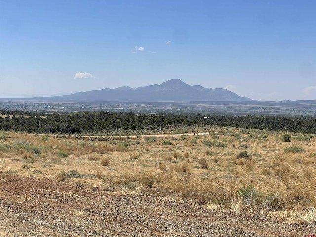 Road 25 Lot 9, Dolores, CO 81323