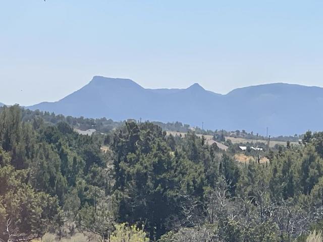 Road 25 Lot 3, Dolores, CO 81323