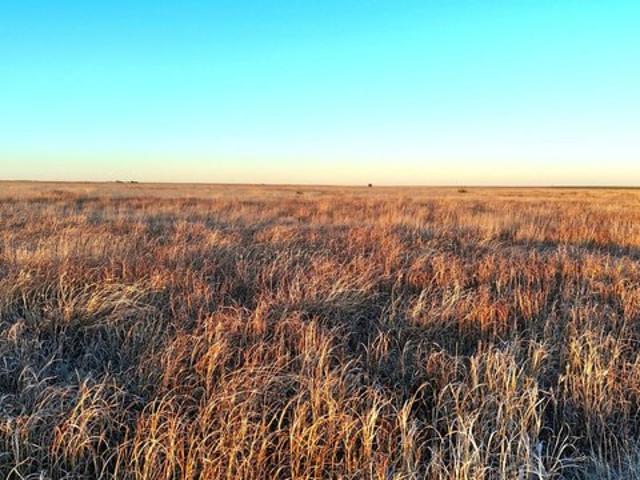 Road # 26, Holly, CO 81047