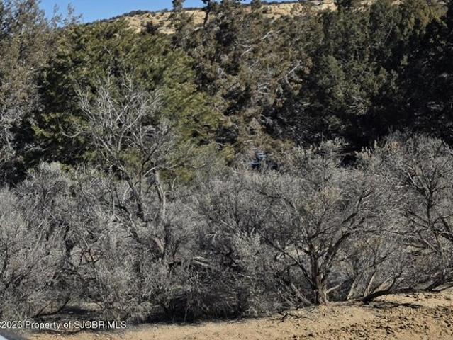 Road # 2772, Aztec, NM 87410