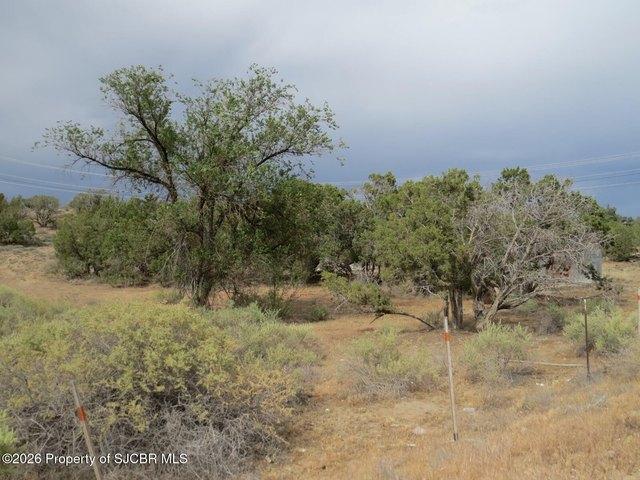 Road 2950 Lot 1A, Aztec, NM 87410