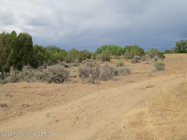 Road 2950 Lot 4A, Aztec, NM 87410