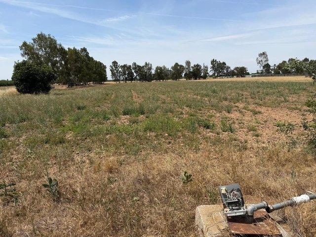 Road # 20, Chowchilla, CA 93610