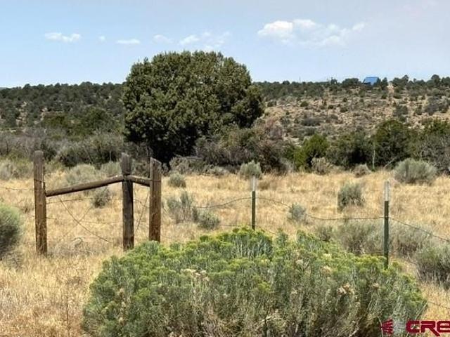 Road # 23, Lewis, CO 81327