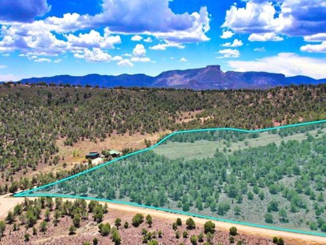 Road # 35, Mancos, CO 81328
