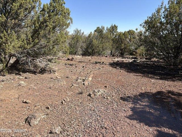 Road 3189 Lot County, Vernon, AZ 85940
