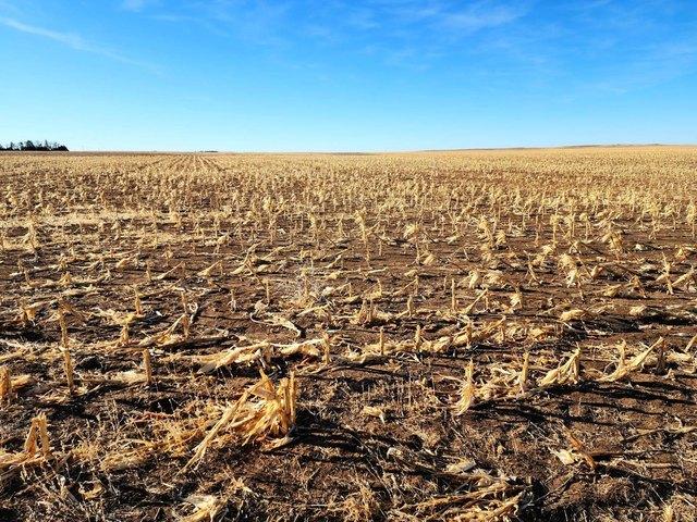 Road # 33W, Bushnell, NE 69128