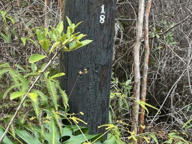 Road # 3, Kurtistown, HI 96760