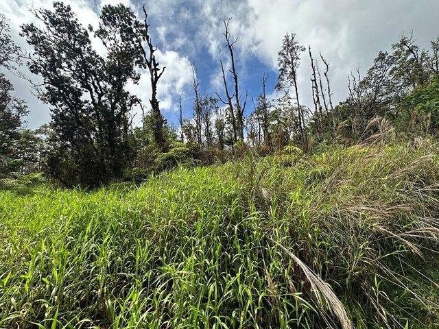 Road # 3, Mountain View, HI 96771