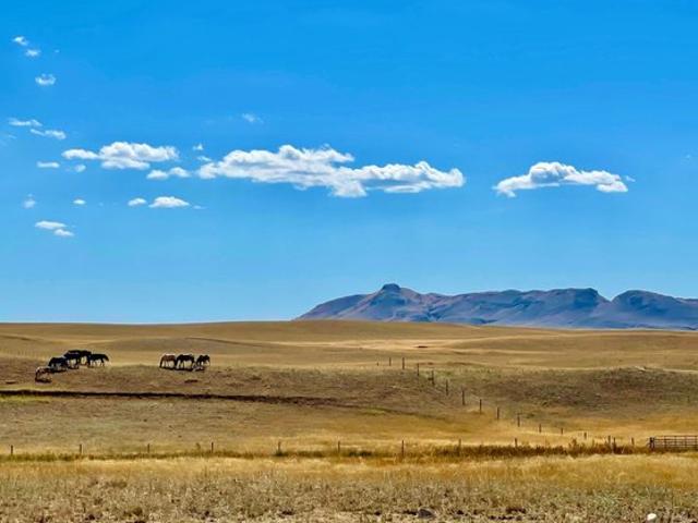 Road # 440E, Havre, MT 59501