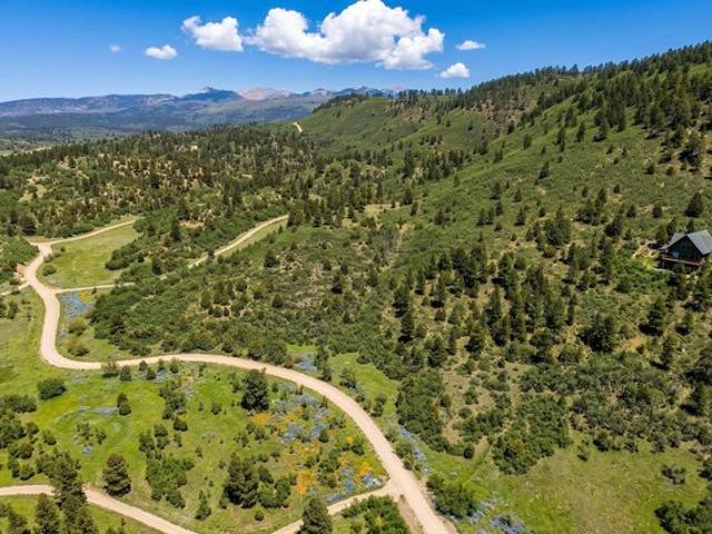 Road # 46, Mancos, CO 81328