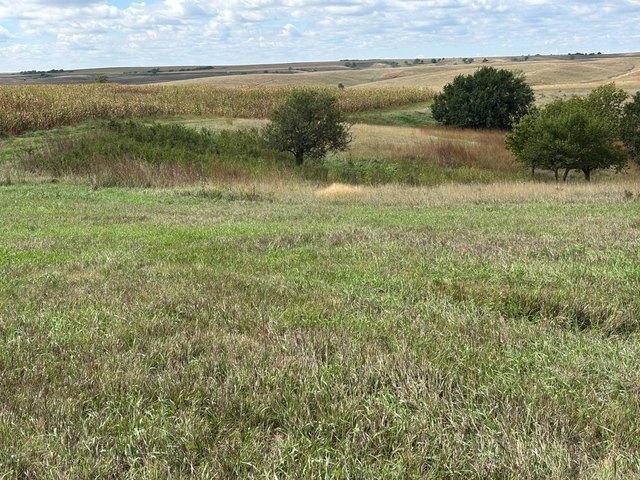 Road # 403, Farnam, NE 69029