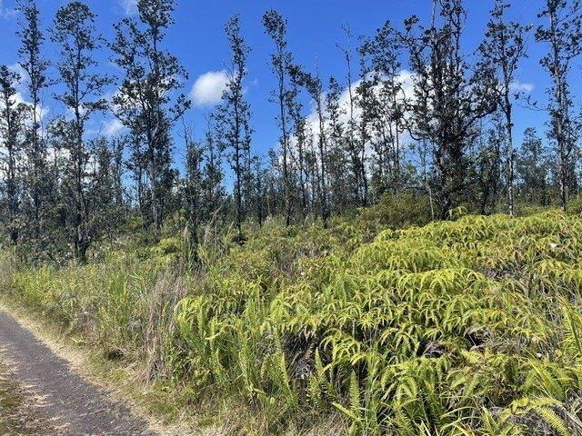 Road # 6, Kurtistown, HI 96760