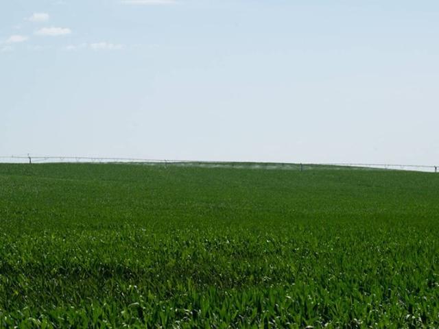 Road # 755, Grainton, NE 69169