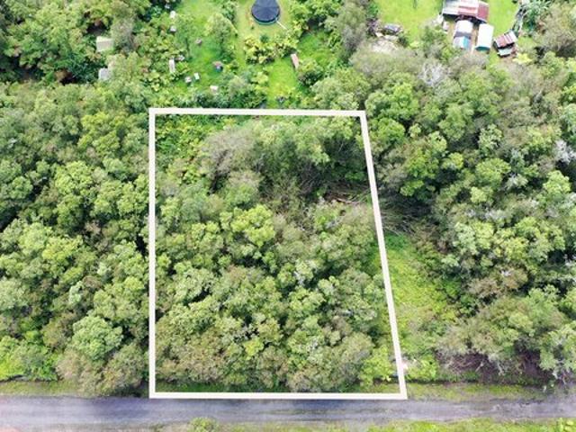 Road # 7, Mountain View, HI 96771