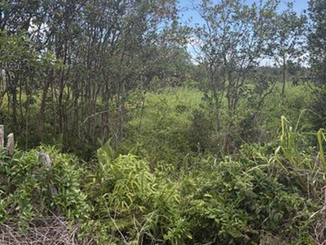 Road # 9, Kurtistown, HI 96760