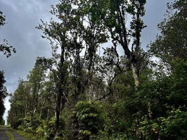 Road # 9, Mountain View, HI 96771