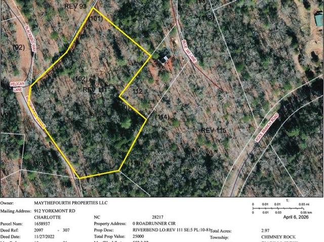 Roadrunner Cir Unit 111, Lake Lure, NC 28746