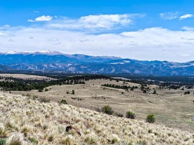 Roan Trl, Guffey, CO 80820