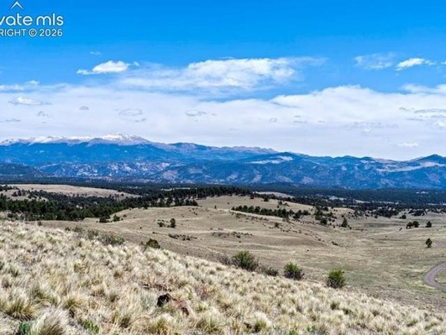 Roan Trl, Guffey, CO 80820