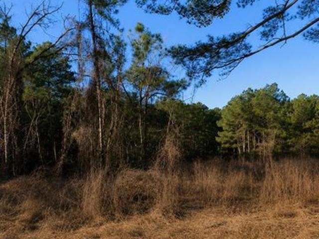 Roanoke Chapel Rd, Littleton, NC 27850
