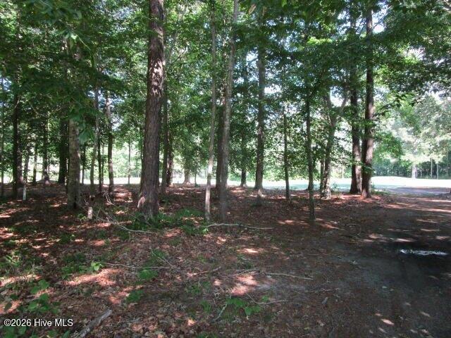 Roanoke Dr W Lot 1, Hertford, NC 27944