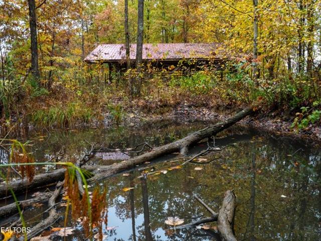 Roanoke Rd, Jamestown, TN 38556