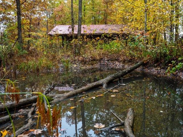 Roanoke Rd, Jamestown, TN 38556