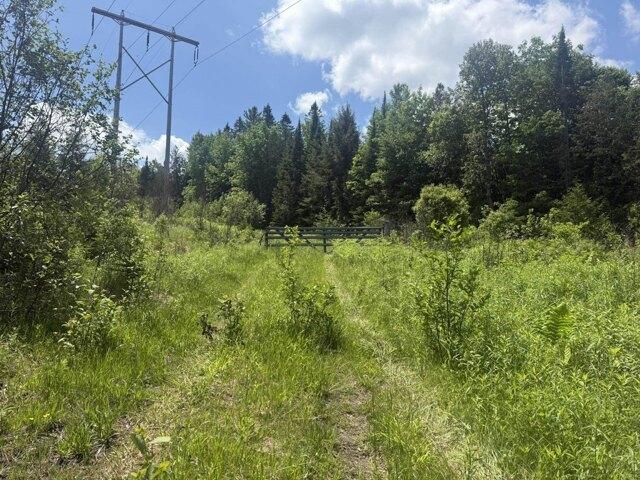 Roaring Brook Rd, Barton, Plot For Sale