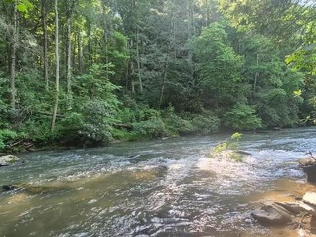 Roaring Forks Ln Lot 4, Ellijay, GA 30540