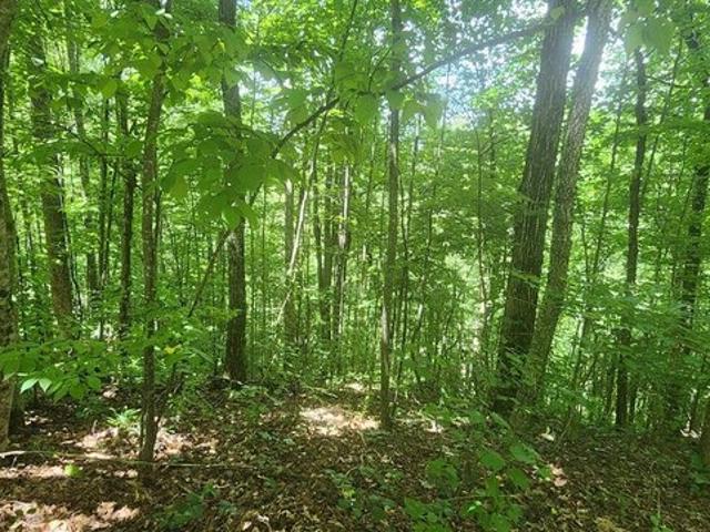 Roaring Rdg Lot 15, Hiawassee, GA 30546
