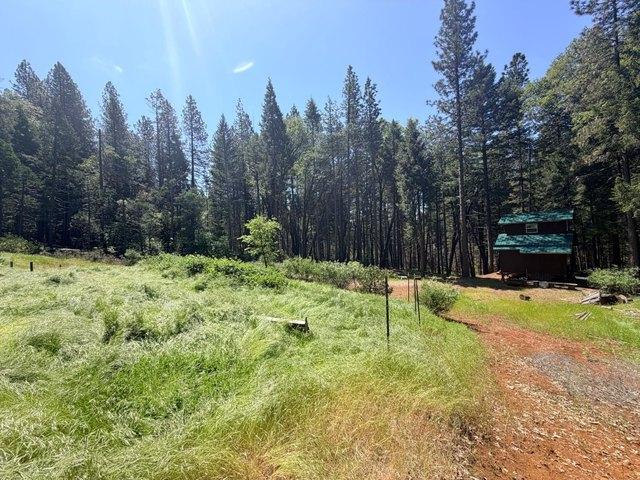 Roaring Ridge Rd, Montgomery Creek, CA 96065