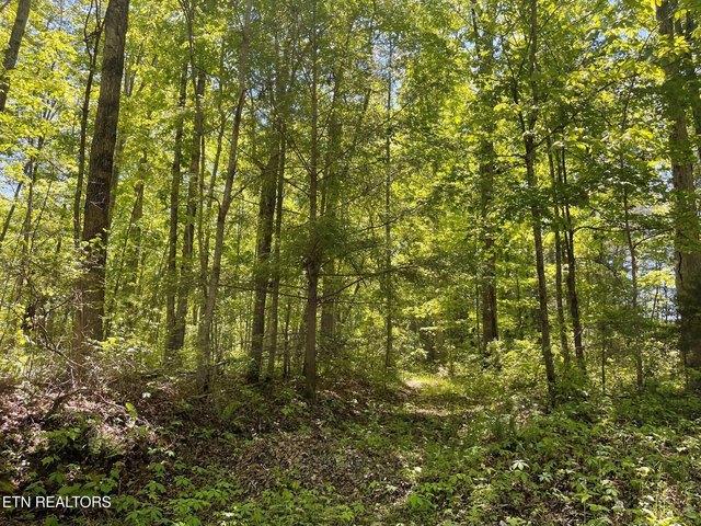 Rob Watson Rd, Oneida, TN 37841