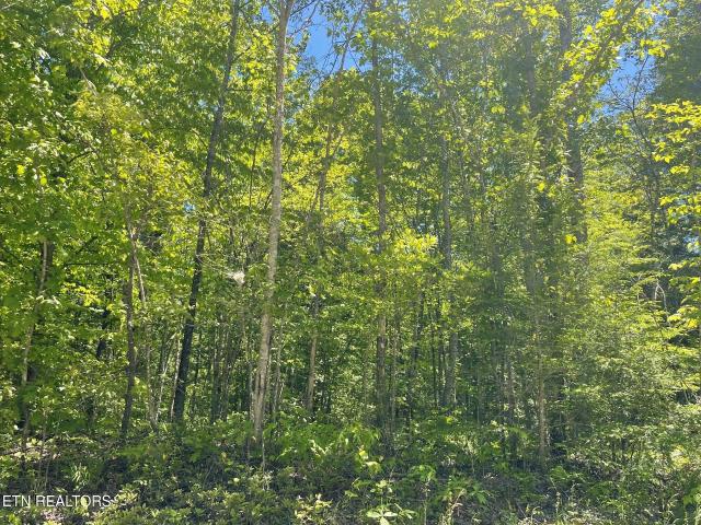 Rob Watson Rd, Oneida, TN 37841