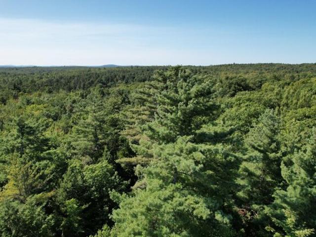 Robb Hill Rd Lot,alexander, Plot For Sale