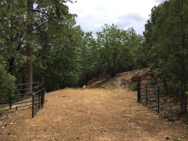 Robbers Ravine, Colfax, CA 95713