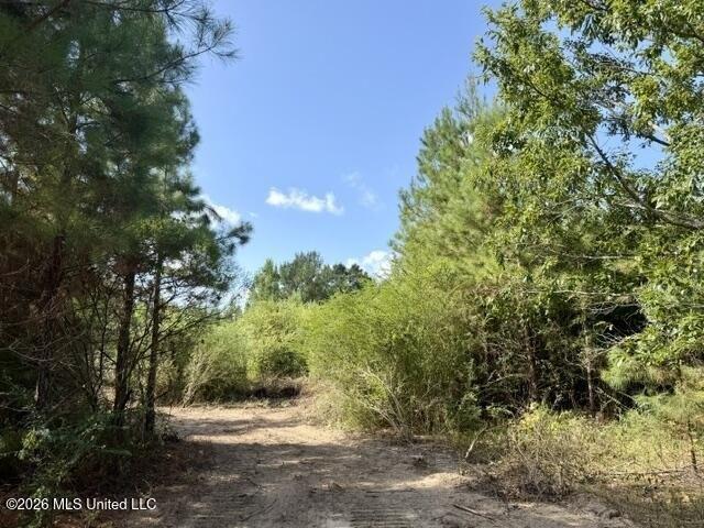 Robert Bateman Rd, Franklinton, LA 70438