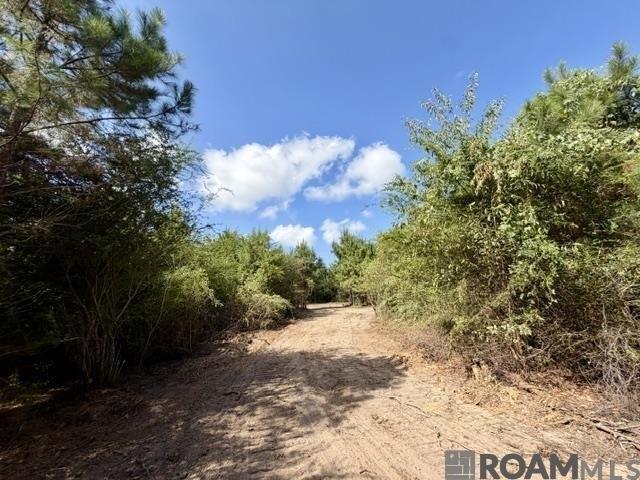 Robert Bateman Rd, Franklinton, LA 70438