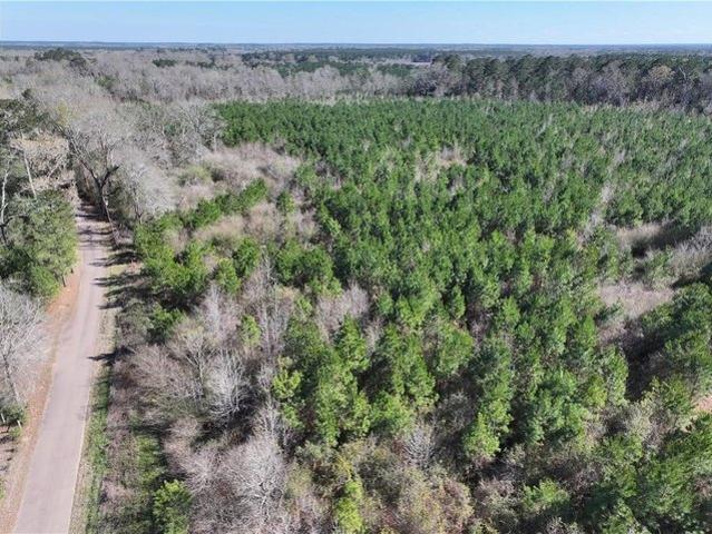Robert Bateman Rd, Franklinton, LA 70438