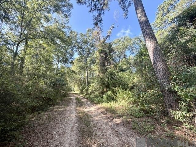 Robert Bateman Rd, Franklinton, LA 70438