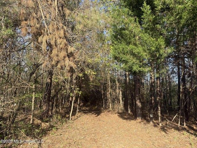 Robert Ford Rd, Waterford, MS 38685