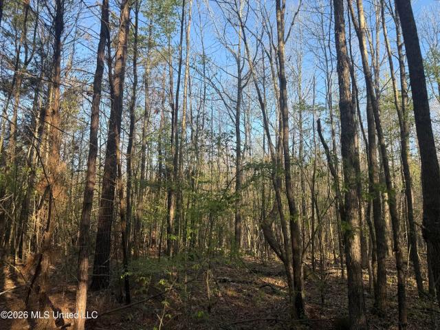 Robert Ford Road, Waterford, MS 38685