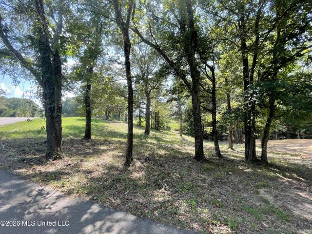 Roberts Lane, Wesson, MS 39191