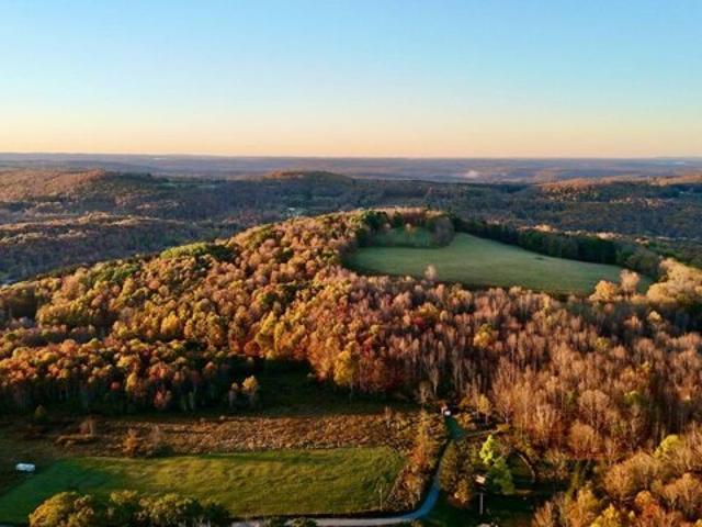 Robertson Rd, Livingston Manor, Plot For Sale