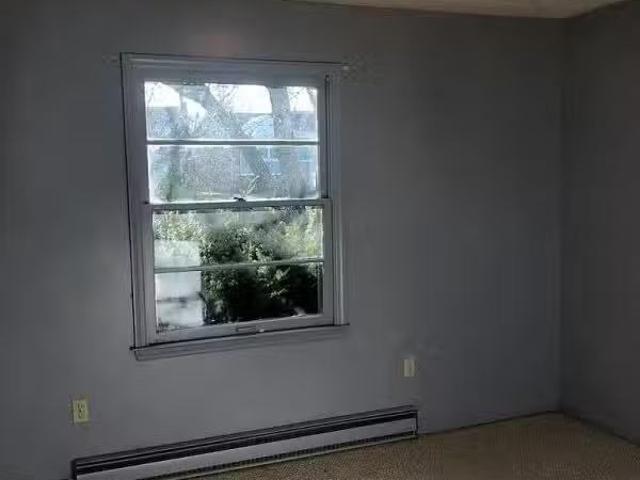 Robin, BLUEFIELD, VA 24605