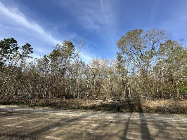 Robin Blvd Lot 12, Swainsboro, GA