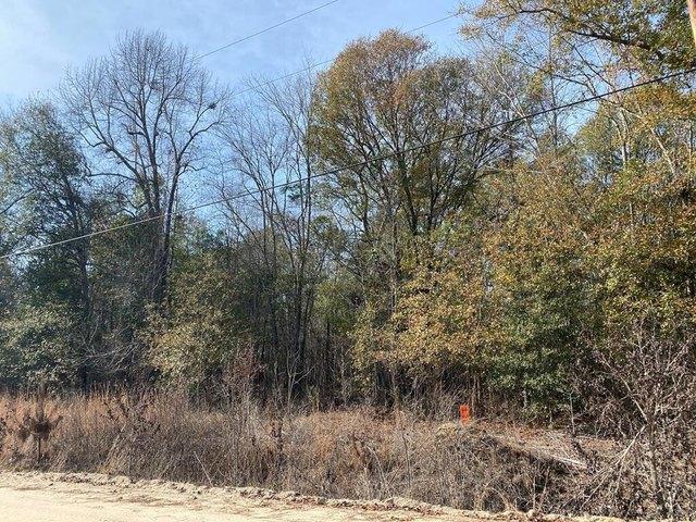 Robin Blvd Lot 14, Swainsboro, GA 30401