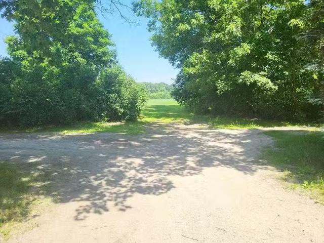 Robin, CONTOOCOOK, NH 03229 649610174
