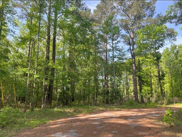 Robin Dr, Bamberg, SC 29003