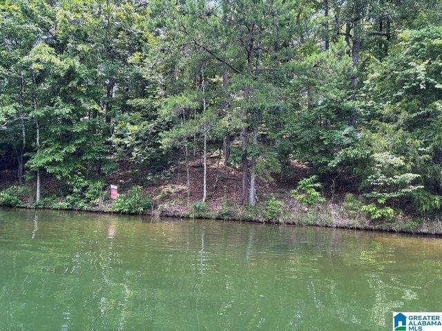 Robin Dr Lot 45, Wedowee, AL 36278